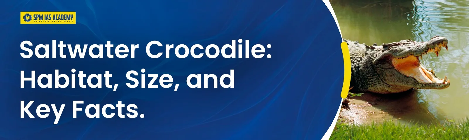 Saltwater Crocodile Census 2025: Habitat, Size & Key Facts
